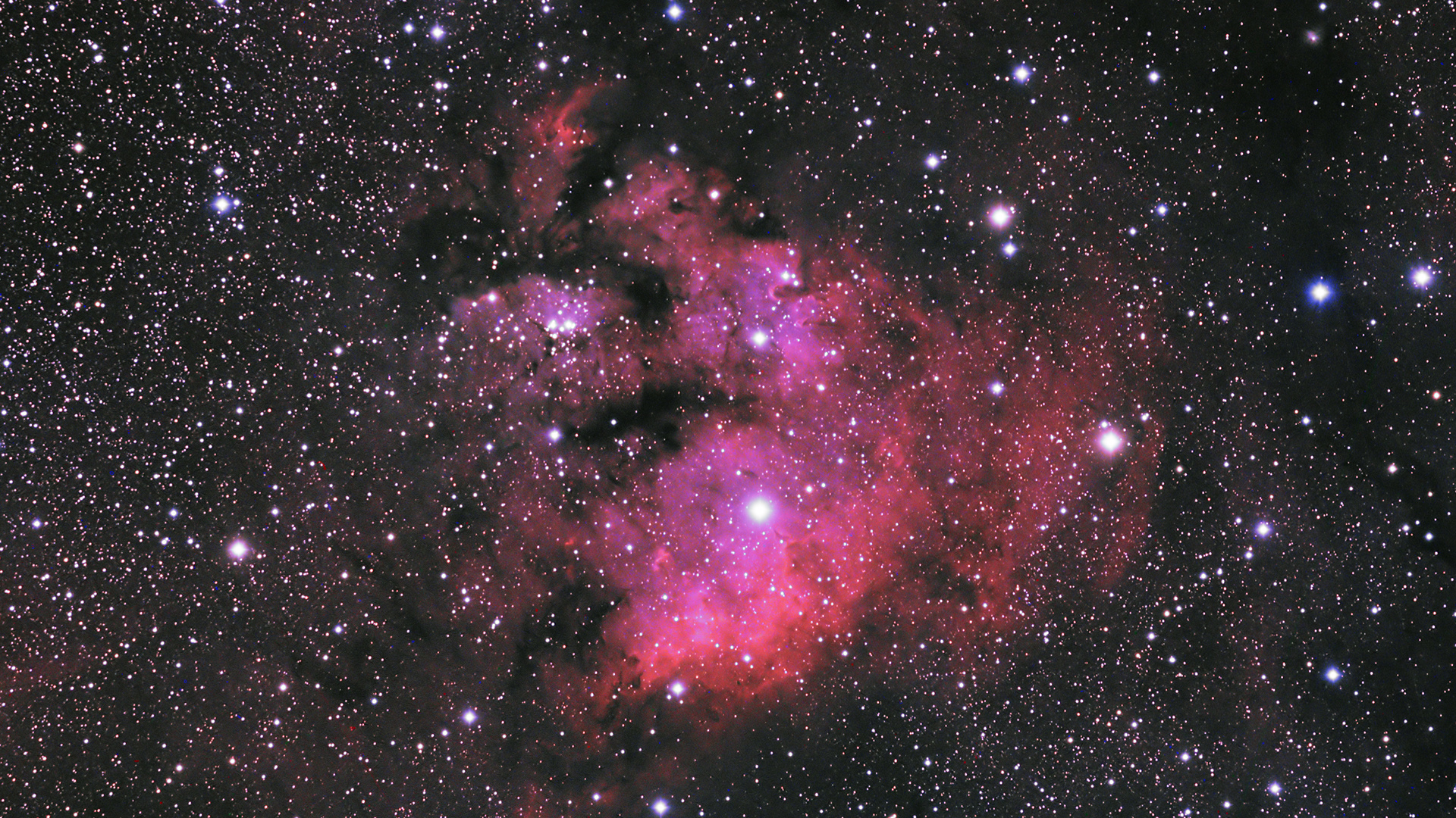 CED214 in Cepheus, 1920x1080
